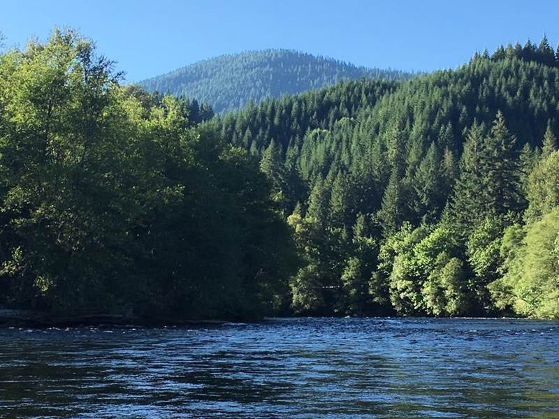 McKenzie River Oregon - Vida, Oregon