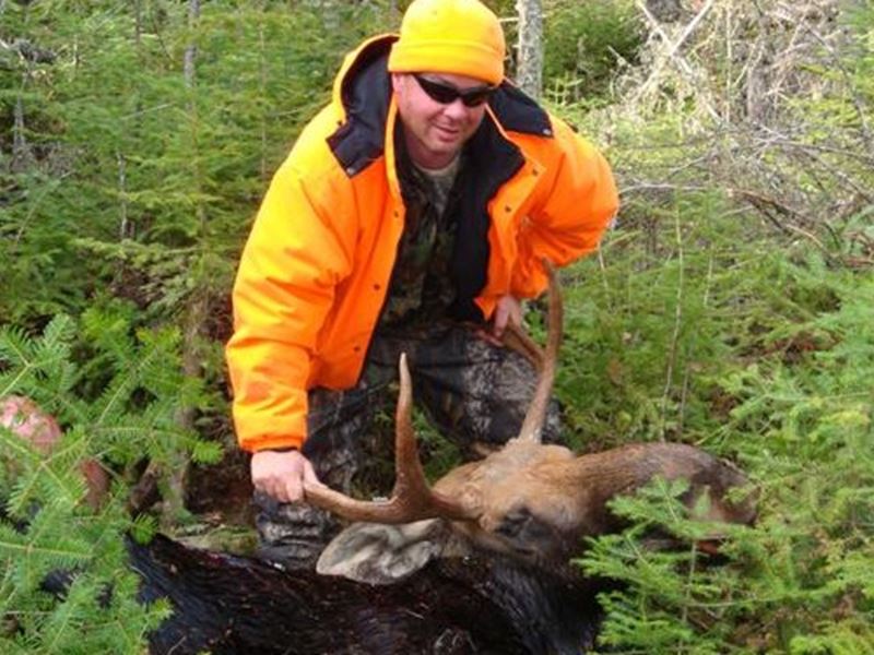 Moose Hunting Package, Kenora, Red Lake, Dryden, Sioux Lookout, Thunder ...