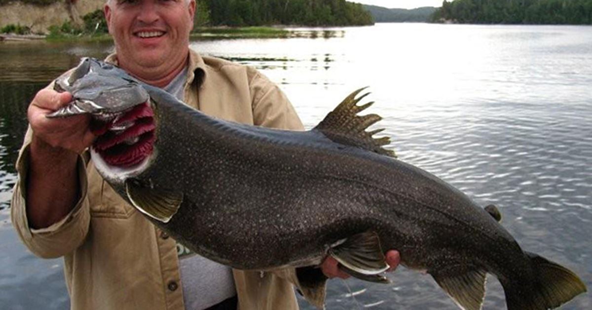Small Game Hunt / Fishing Package, Nipigon, Geraldton, Manitouwadge ...