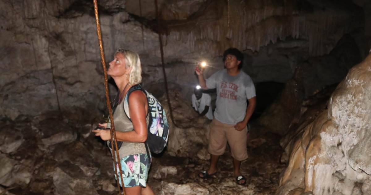 Creole Cultural Immersion Experience & Manatee Viewing - Gales Point ...