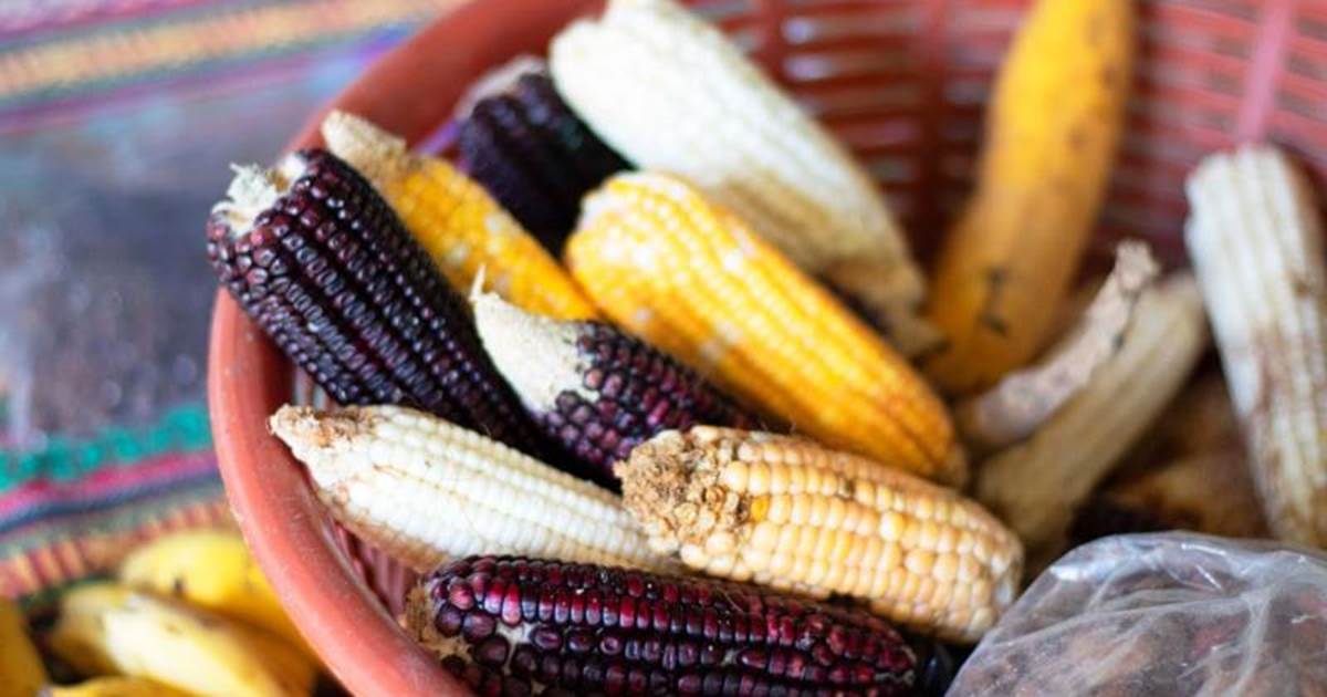 Belize Maya Culture Tours | Things to do and see in Stann Creek, Belize