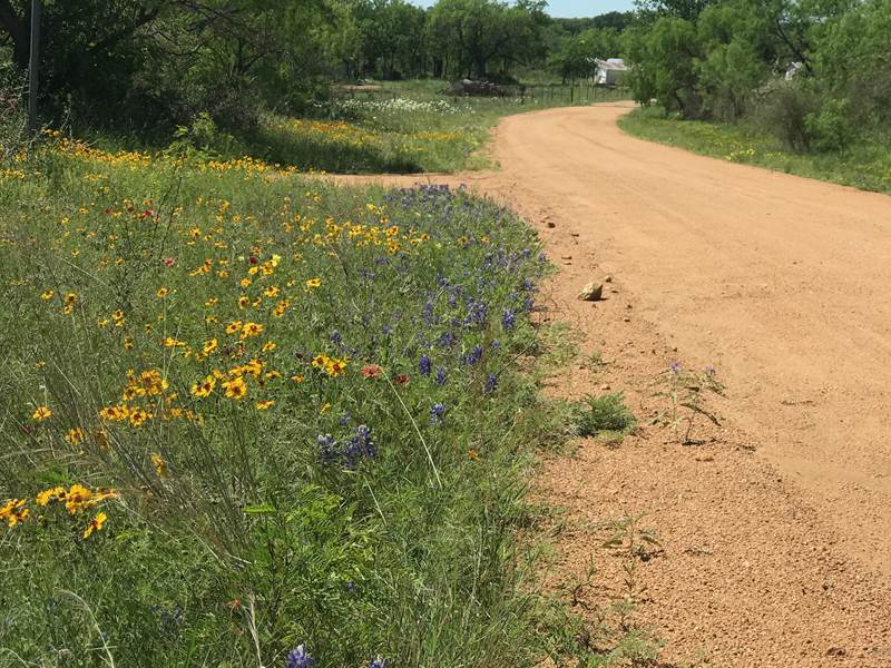 Gravel Rides in the Castell, Texas Hill Country - Castell, Texas