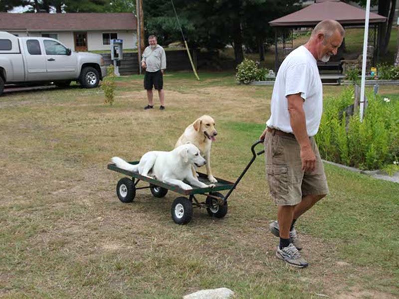 Promised Land Camp, North Bay and Lake Nipissing, Ontario