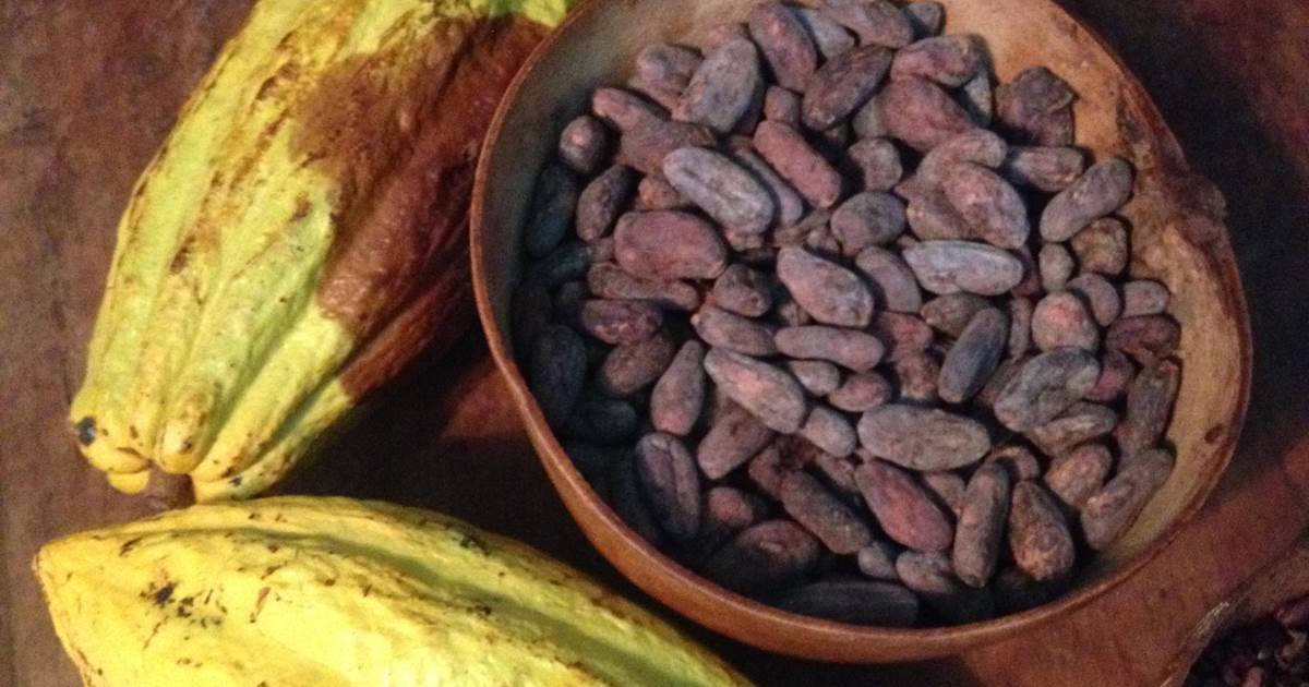Chocolate Making Tour - Maya Centre, Stann Creek District