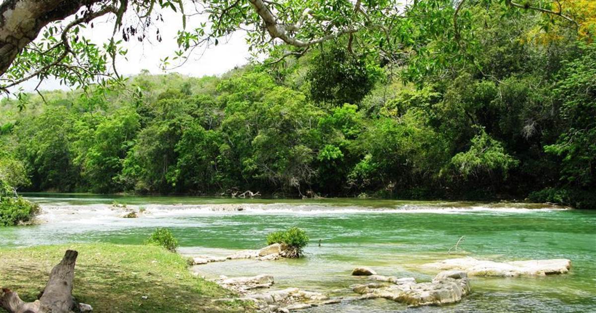 Bullet Tree Falls - Bullet Tree Falls, Cayo District