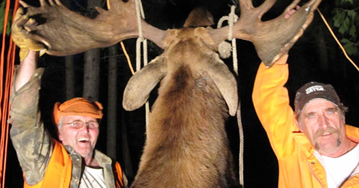 Moose Hunting, Kenora, Red Lake, Dryden, Sioux Lookout, Thunder Bay ...