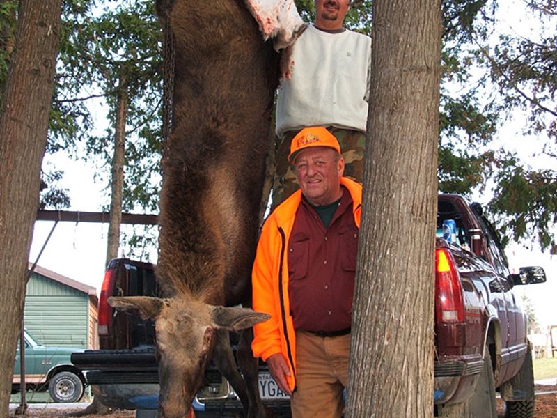 Moose Hunting, Kenora, Red Lake, Dryden, Sioux Lookout, Thunder Bay ...