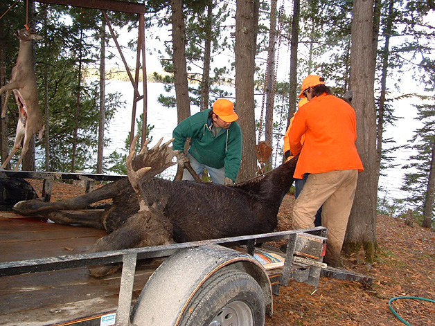 Moose Hunting, Kenora, Red Lake, Dryden, Sioux Lookout, Thunder Bay ...