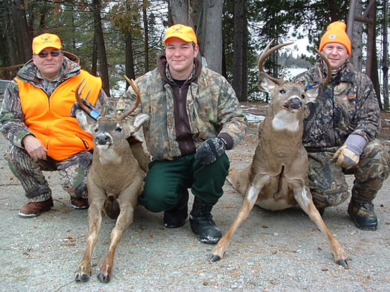 Whitetail Deer Hunting, Kenora, Red Lake, Dryden, Sioux Lookout ...