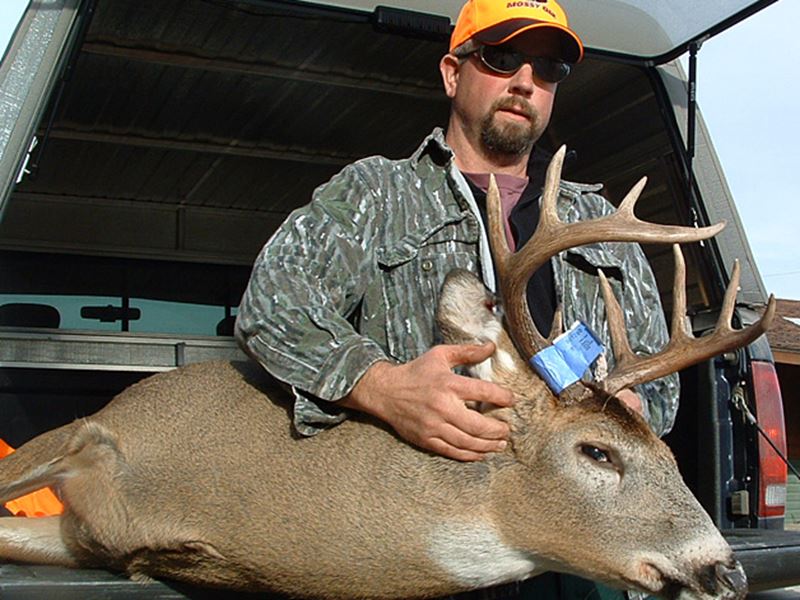 Whitetail Deer Hunting, Kenora, Red Lake, Dryden, Sioux Lookout ...