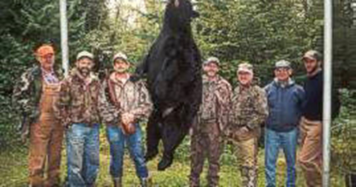 Hunting Package, Thunder Bay, Nipigon and Dryden, Ontario