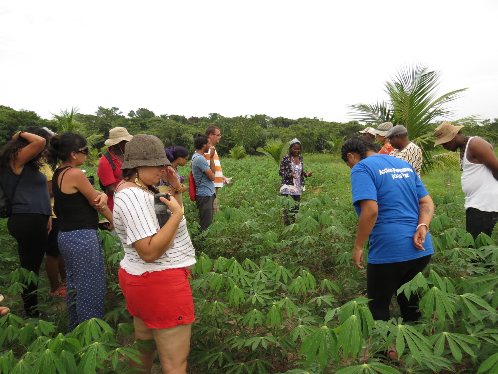 Garifuna Cassava Farm Tour - Hopkins, Stann Creek District