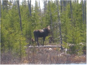 Rusty Myers, Fort Frances, Kenora and Dryden, Ontario