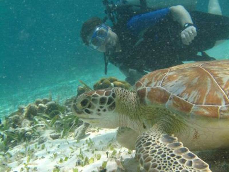 Belize Diving Adventures ltd, Corozal District
