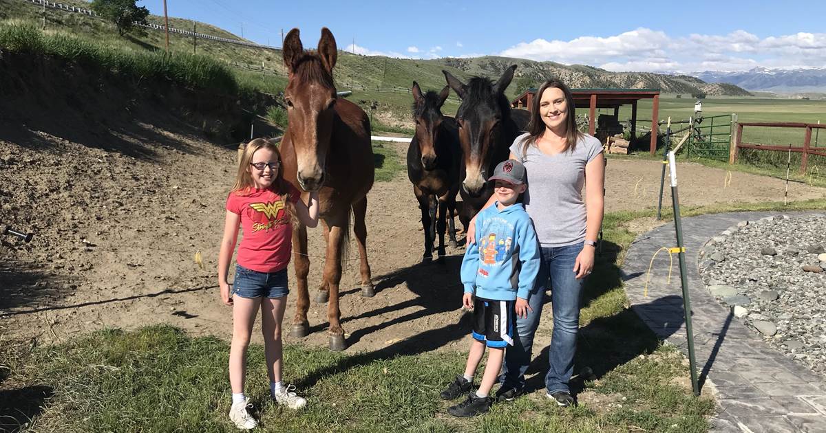 4 Bears Bed and breakfast and RV park - Meeteetse, Wyoming