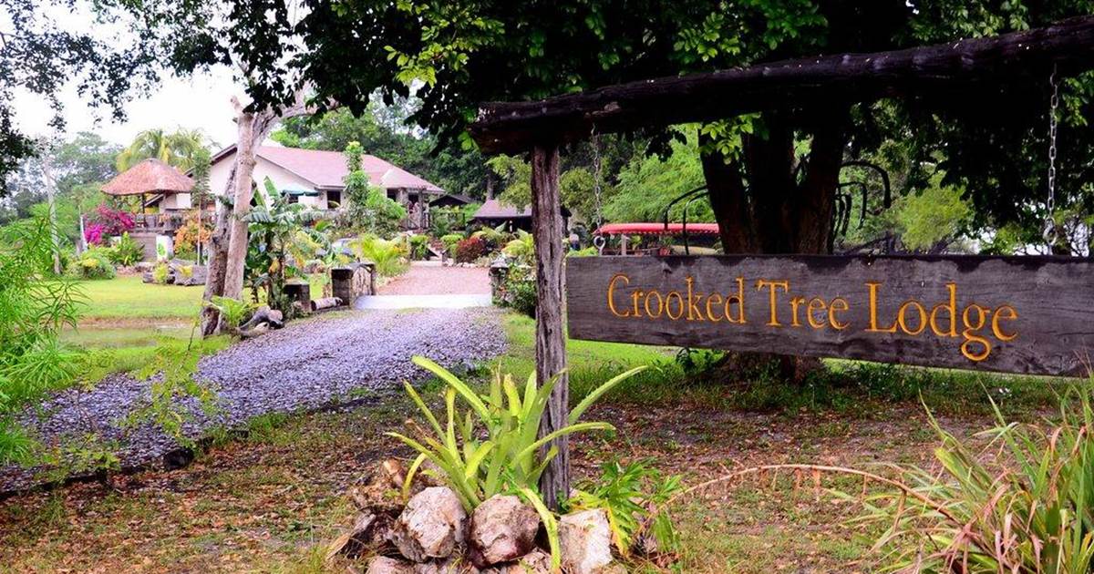 Crooked Tree Lodge, Belize District