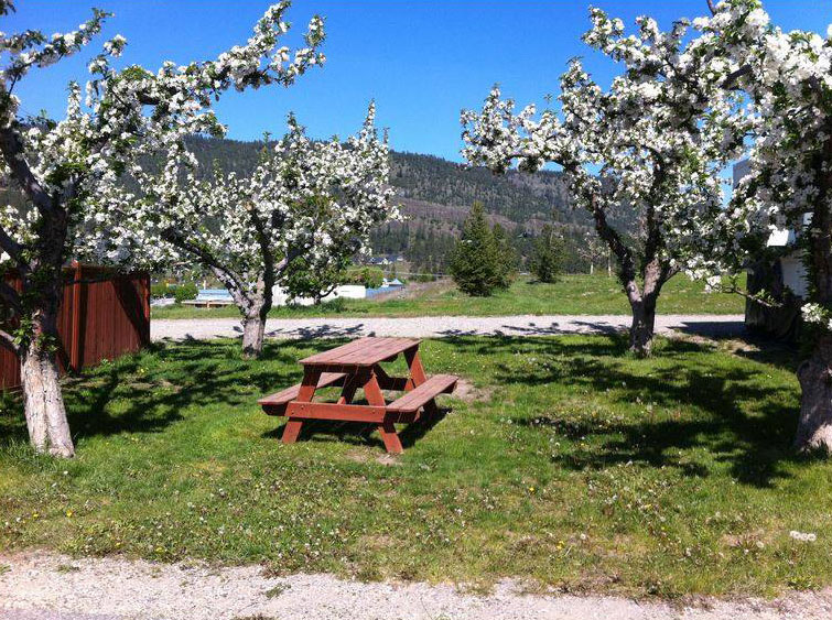 Orchard RV Park | Go Camping America