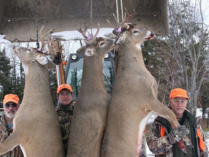 Hunting Package - Deer, Kenora, Red Lake, Dryden, Sioux Lookout ...
