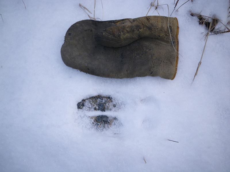 Hunting Package - Deer, Kenora, Red Lake, Dryden, Sioux Lookout ...