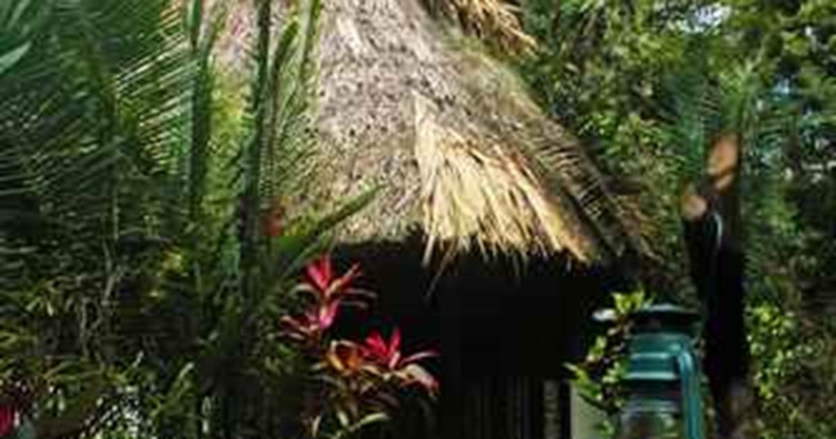 Bullet Tree Riverside Cabanas - Bullet Tree Falls, Cayo District