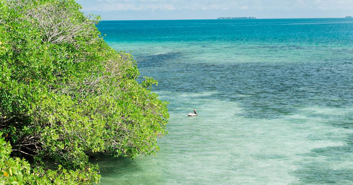 Belize Island Hopping Tour