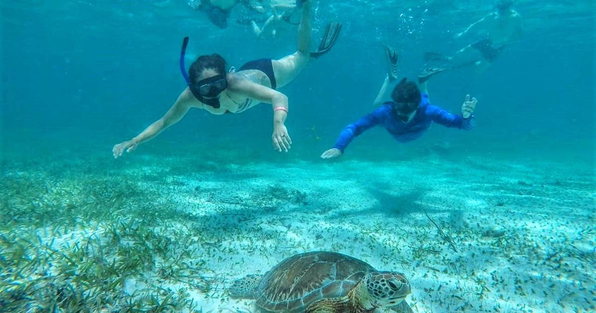 Hicaco Tours - Caye Caulker