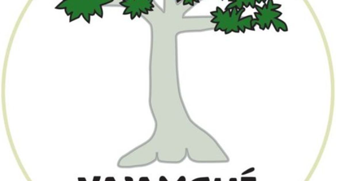 Ya'axche Conservation Trust - Punta Gorda, Toledo District