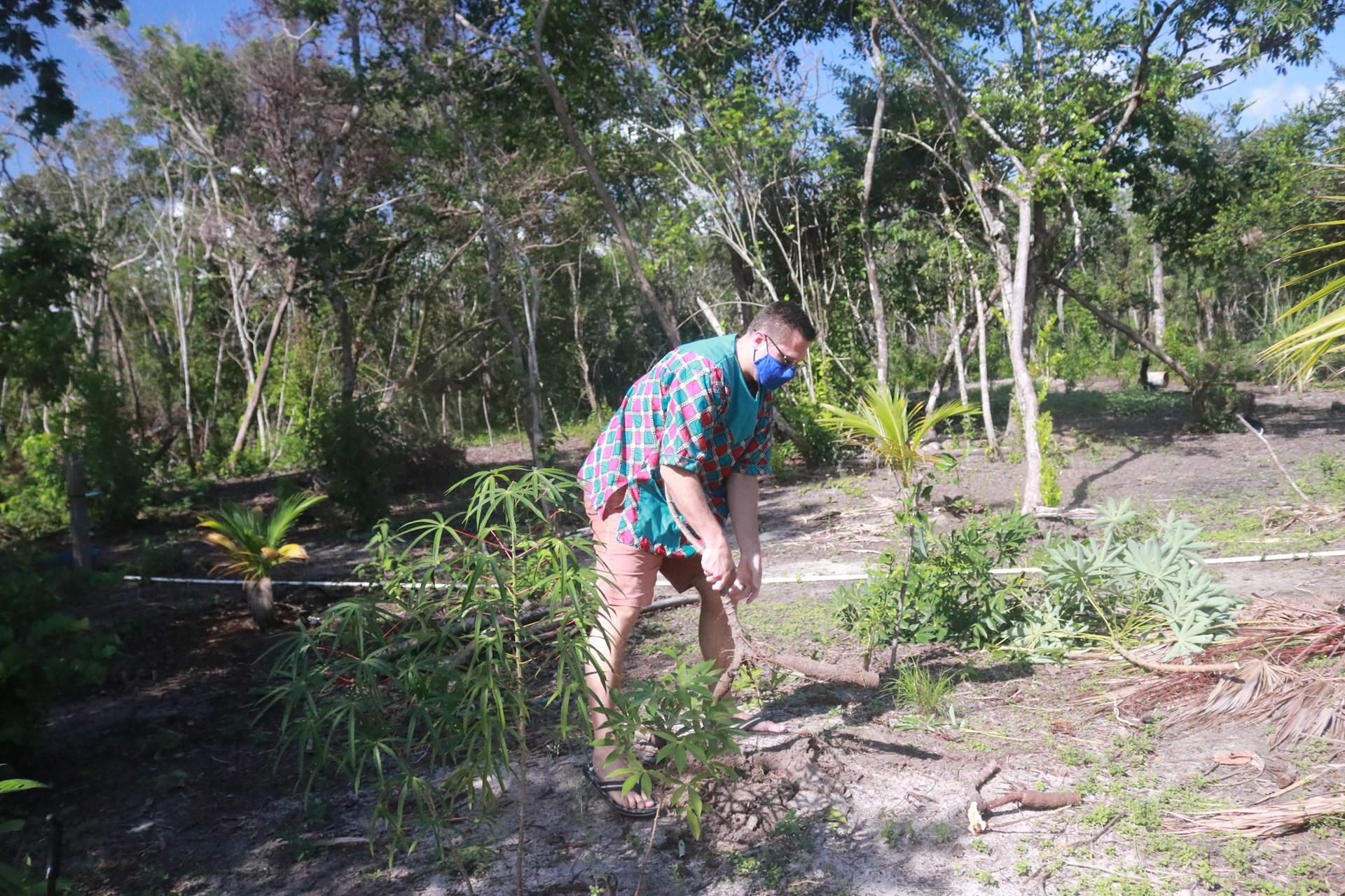 Garifuna Cassava Farm Tour - Hopkins, Stann Creek District