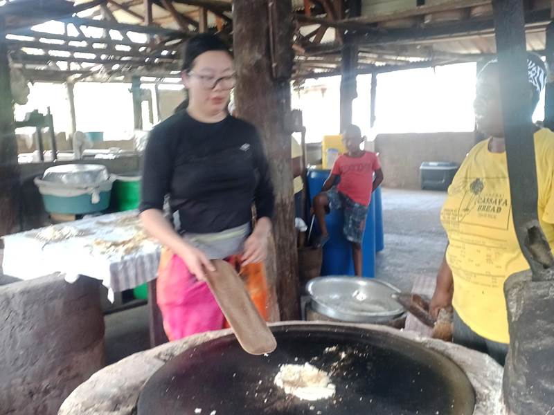 Garifuna Cassava Farm Tour - Hopkins, Stann Creek District