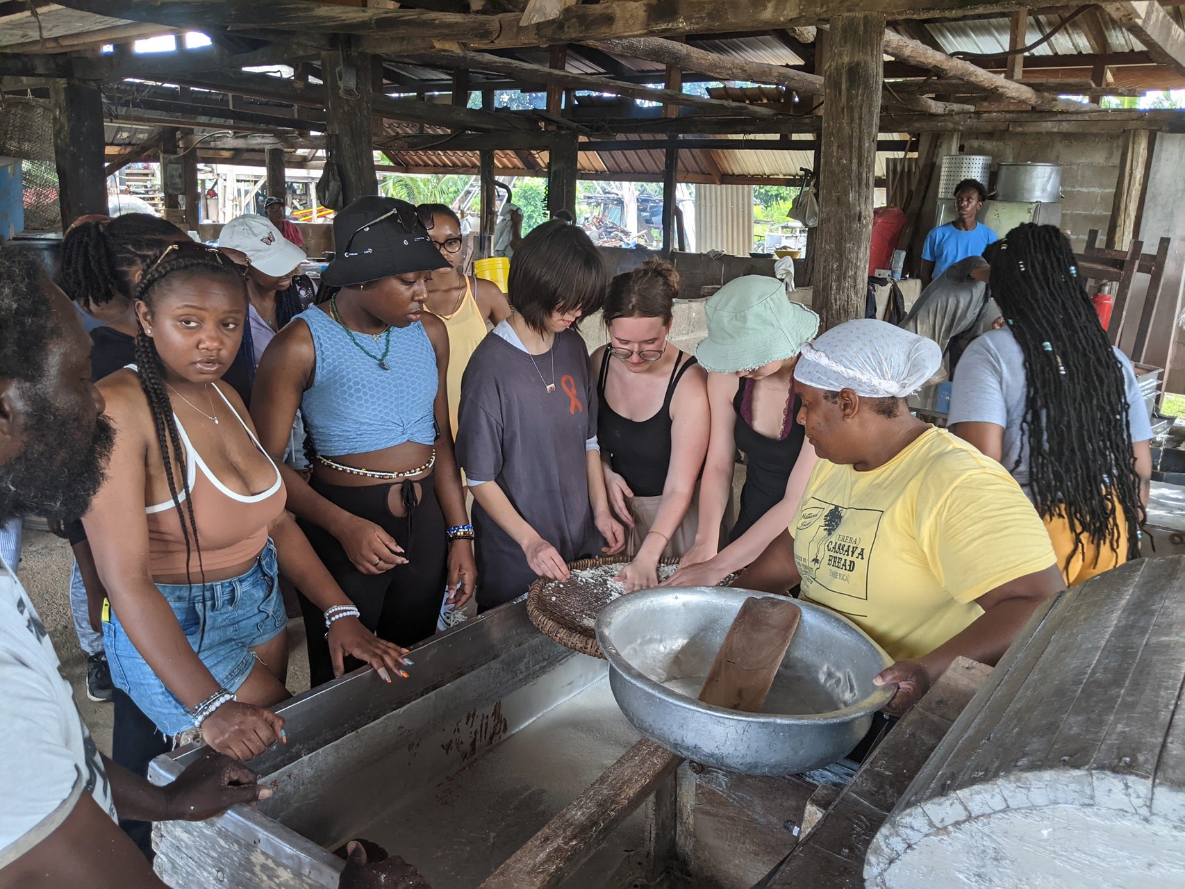 Garifuna Cassava Farm Tour - Hopkins, Stann Creek District