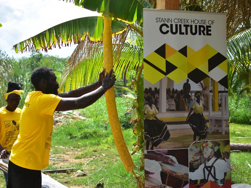 Garifuna Cassava Farm Tour - Hopkins, Stann Creek District