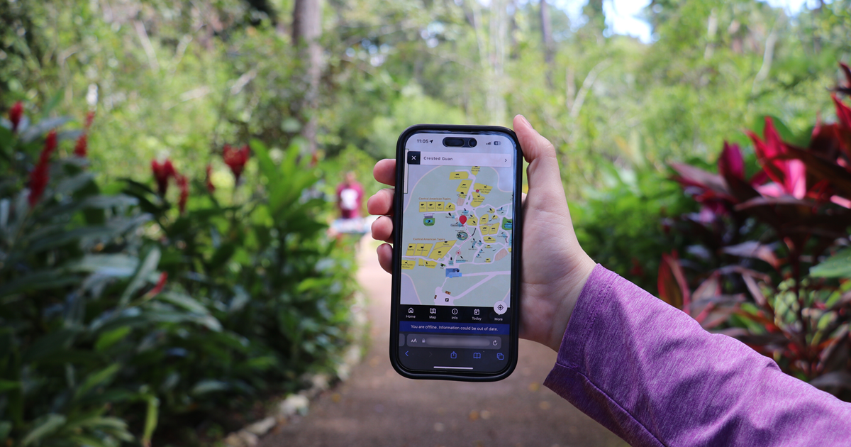 The Belize Zoo Interactive Map