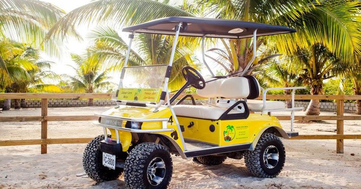 https://www.coconutcartsbelize.com