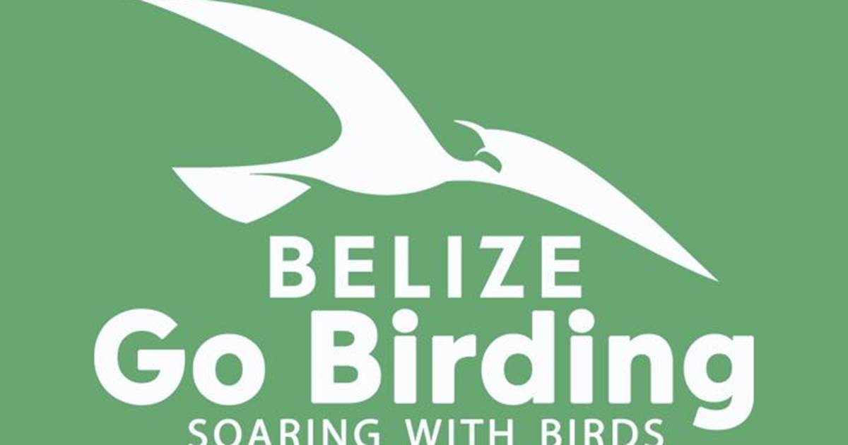 Belize Go Birding