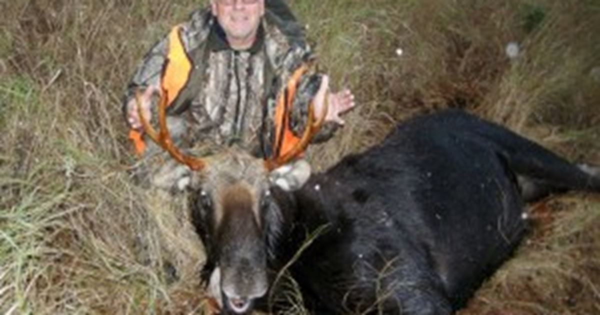 Moose Hunt Package - Sioux Lookout, Kenora, Red Lake, Dryden, Sioux ...
